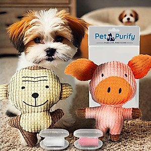Pet purify Dog Toy, Interactive and Chewable, Ideal for Small and Medium Breeds. Dental Cleaning Toy Keeps Your Pet Busy. Plush toys. Squeaky Toy. 2 Soft Bristle Dog Toothbrushes. (Monkey and pig)