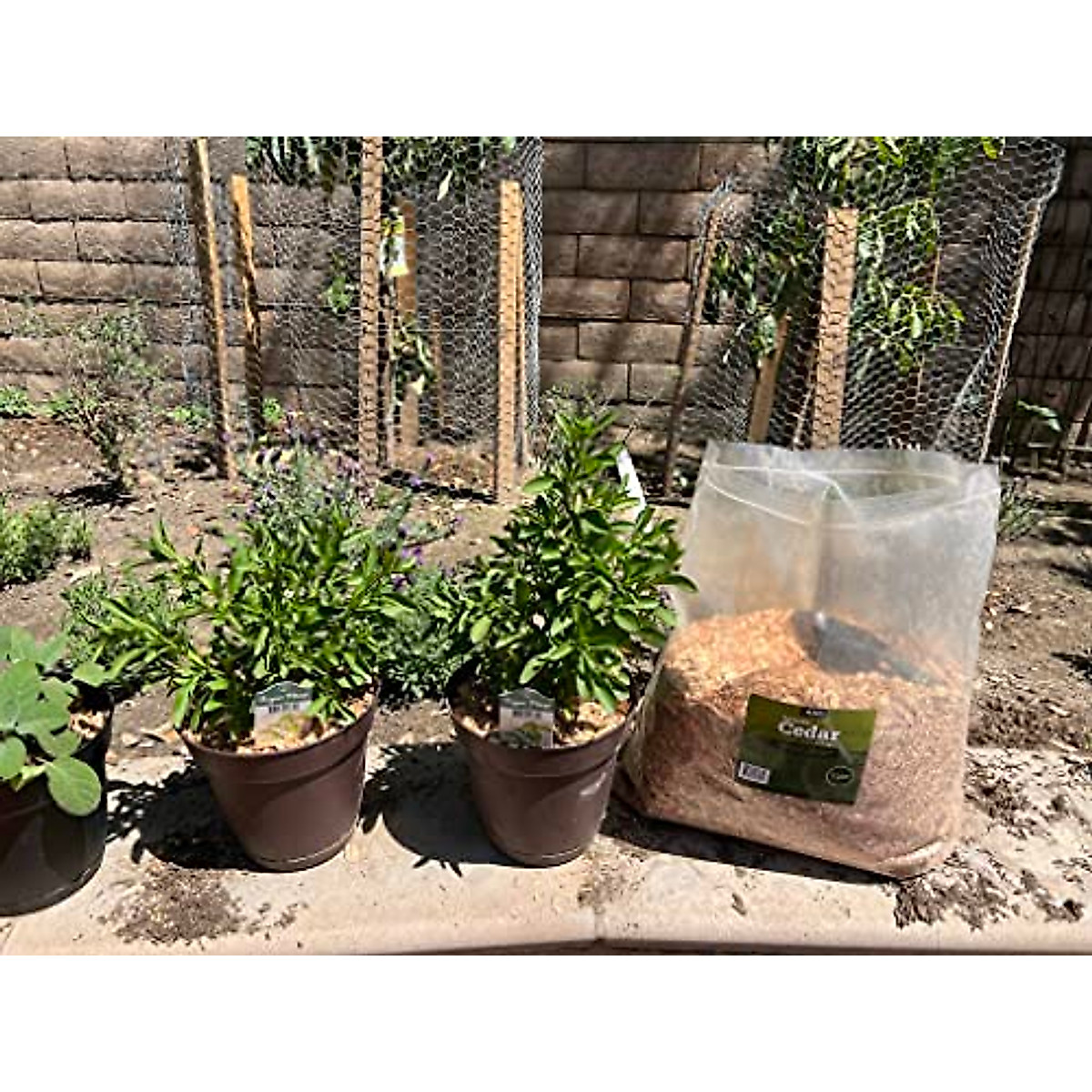 Double Tree Incense Cedar Wood Chips for Potted Plants, Garden, Animal Beddings and Litter Box - 100% Natural Perfect for Indoor and Outdoor Use… (4 Quart)