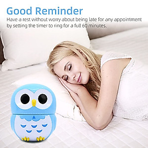 Dolovemk Kitchen Timer,Analog Timer,60 Minute Wind Up Timer Egg Timer-Loud Ring Timers,No Batteries Required 100% Mechanical (Owl)