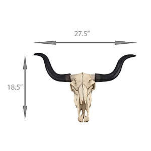 Long Horn Cow Skull Wall Hanging Longhorn Steer