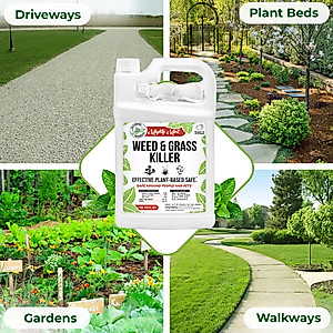 Weed & Grass Killer – Natural Vinegar & Salt Weed Killer – 1 Gallon - Glyphosate Free
