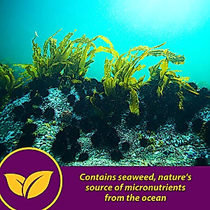 Horse Health Maxum Crumbles Concentrated Feed Supplement for Horses, Provides a Wide Range of Beneficial nutrients for Today's Equine Athlete 25 Pound