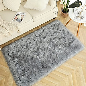 Pacapet Fluffy Faux Fur Rug,Grey Fur Rug Sheepskin Rug for Bedroom,Furry Shag Rug for Living Room,Fuzzy Rug Carpet for Bedside Kids Nursery Room Decor,2x3 ft