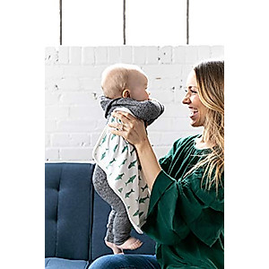 Copper Pearl 3-Layer Knit Security Blanket Set Sized 16" x 16" 2-Pack Pacific