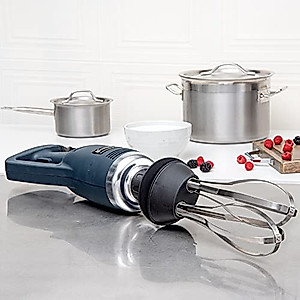 Restaurantware Hi Tek Stainless Steel Whisk - Fits Variable Speed Immersion Blender - 10" - 1 count box,Silver