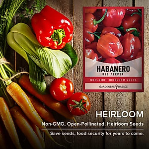 Red Habanero Pepper Seeds for Planting 100+ Heirloom Non-GMO Habanero Peppers Plant Seeds for Home Garden Vegetables Makes a Great Gift for Gardeners by Gardeners Basics