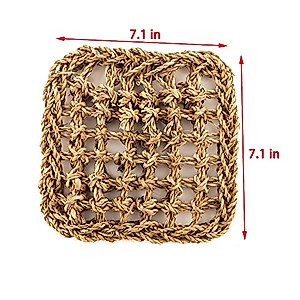 DQITJ Hermit Crab Hammock Natural Seagrass Fibers Hammock Small Reptile Climbing Toys Tank Accessories (Square Shape)