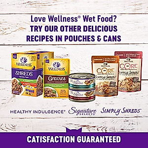 Wellness Complete Health Natural Grain Free Wet Canned Cat Food, Sliced Chicken Entree, 3-Ounce Can (Pack of 24)