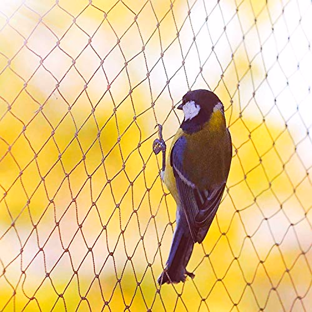 Bird Netting [Heavy Duty] 50’ x 50’ Garden Netting with 1" Square - Nylon Bird Net Chicken Coop Netting Poultry Netting Protect Fruit Tree Plant and Vegetables, Aviary Netting for Farm, Orchard