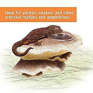 Zilla Vertical Décor Mushroom Feeding Ledge One Size,Brown