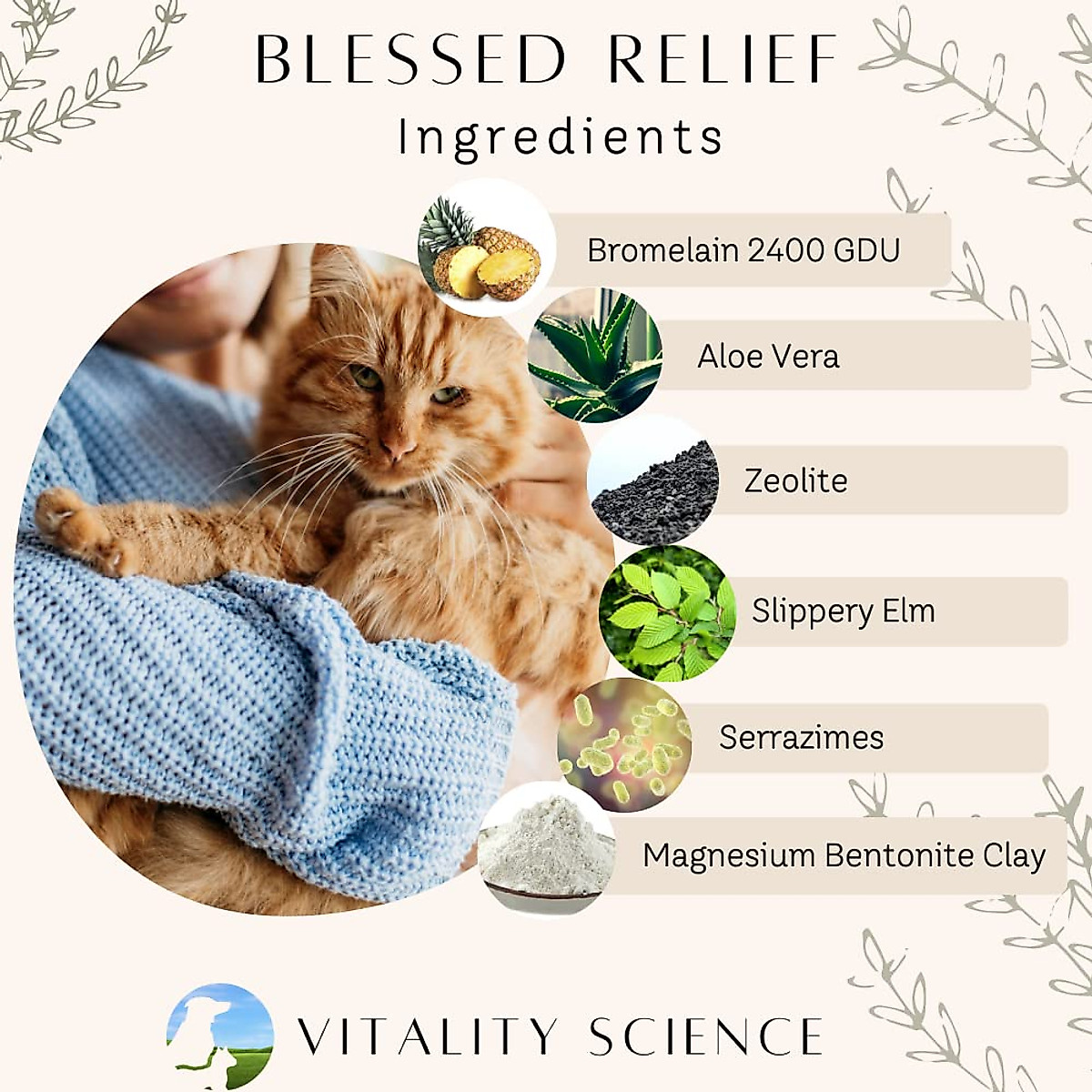 Vitality Science Blessed Relief for Dogs | Seasonal Allergy Support | Soothes Skin Problems | Normal Respiratory Function | Reduces Inflammation | Boosts Immune Health (20g)