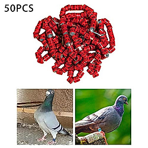 Fenteer 50x 2023 Pigeon Leg Rings Bird Foot Bands for Bantam Finch Canary, Red