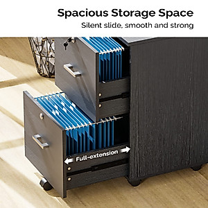 VINGLI 2-Drawer Small Rolling File Cabinet with Lock, Wood Filing Cabinet for Hanging Letter Size Filings with Tabs, Mobile Under Desk File Cabinet for Home Office, Classic Black, 27.2" H