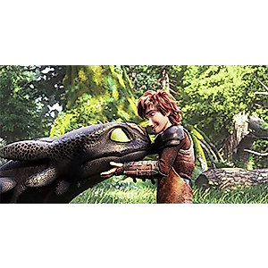 How to Train Your Dragon: The Hidden World [DVD]
