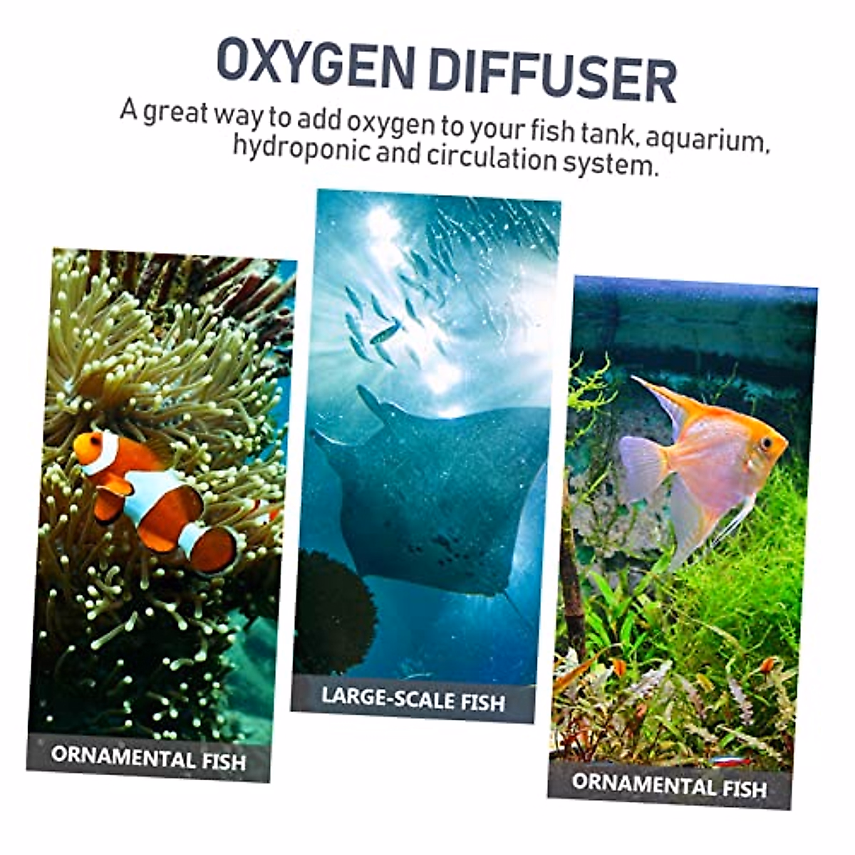 balacoo 1 Set Refiner Pump Check Valve Aquarium Valve Connector OUL Diffuser Line Tubing Aquarium Filters Stones for Hydroponics Fish Tank Supply Aquarium Oxygen Pump