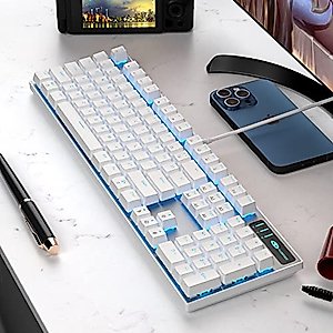 MageGee Mechanical Gaming Keyboard, Wired USB Adjustable Backlight Keyboard, New Mechanical Storm 100% Anti-ghosting Keyboard with Red Switches for Windows PC/MAC Games (White)