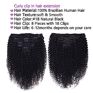 Clip In Extension 3C 4A Kinky Curly Full Head for Black Women Brazilian Remy Human Hair Natural Color 8Pcs with18clips 120g/Set (14 inch, curly wave)