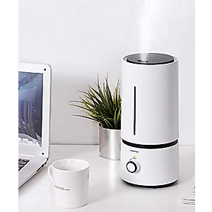 raydrop Cool Mist Humidifiers for Home Babies, 1.70 L Quiet and Small Ultrasonic Humidifier for Bedroom Nightstand, Space Saving, Auto Shut Off - (0.45 Gallon, US 110 V)