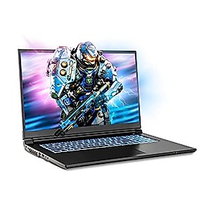 Sager 2023 NP7881E Gaming Laptop, 17.3 Inch FHD 144Hz 72% NTSC, Intel i9-13900HX, RTX 4070 8GB, 64GB RAM, 2TB Gen4 NVMe SSD, TBT 4, Win 11