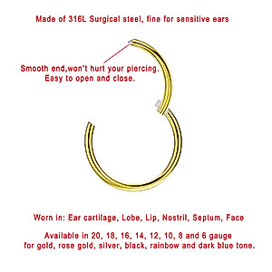 FANSING Big Nose Rings Hoops for Women 20g 9mm Nose Hoop 20 Gauge Septum Rings Gold Cartilage Earrings Hoop Lip Rings Helix Rook Nose Piercing Jewelry Surgical Steel Septum Jewelry