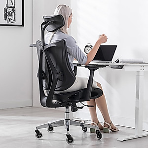BV Ergonomic Dual Backrests Office Chair, Lumbar Support Office Desk Chair Back Support, Breathable mesh Office Chair 3D Adjustable Armrest(5008 Black)