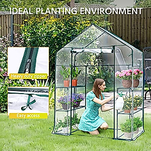 VIVOSUN 57x57x77-Inch Transparent Mini Walk-in Green House with Window and Anchor, Plant Garden Hot House 2 Tiers 8 Shelves, 4.7 x 4.7 x 6.4 FT