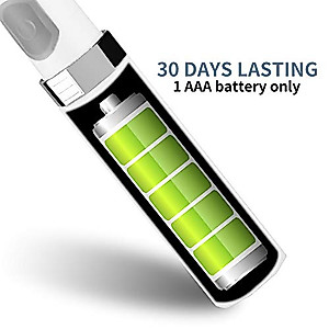 Meafeng Travel Electric Toothbrush with 2 Brush Head 2 Modes Waterproof Sonic Toothbrush by Battery Powered Portable Mini Design for Daily Oral Care Business Travelling and Holiday Use (White)