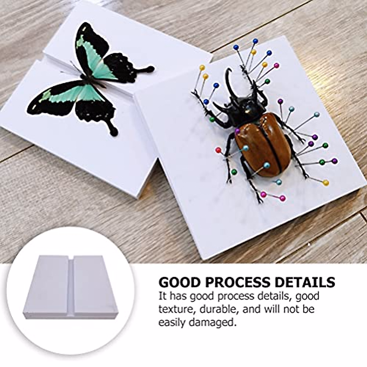 iplusmile Insect Display Box, Bug Display Board Insect Pinning Board Butterfly Mounting Spreading Board Specimen Spreading Board for Science Education