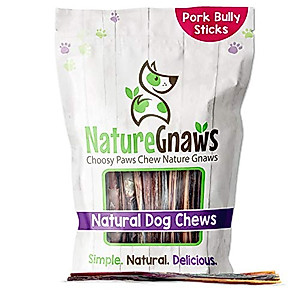 Nature Gnaws Pork Bully Sticks for Dogs - Premium Natural Dental Bones - Long Lasting Dog Chew Treats for Small Dogs & Puppies - Rawhide Free 15 Count (Pack of 1)