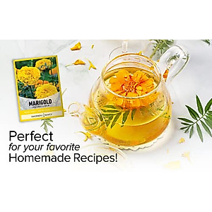 Marigold Seeds for Planting Outdoors (Crackerjack Variety) Annual Open-Pollinated, Heirloom, Non-GMO Flower Variety- 800mg Seeds Great for Summer Cut Flower Gardens by Gardeners Basics