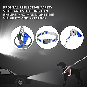 JSXD Small Dog Harness,Puppy Harness,Adjustable Leash and Collar Set for Small Dogs,Step-in Dog Harness,3M Reflective Pet Dog Vest for Small Medium Puppy