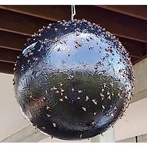 Bug Ball 2 Pack Deluxe kit - Odorless Eco-Friendly Biting Fly and Insect Killer with NO Pesticides or Electricity Needed, Kid and Pet Safe