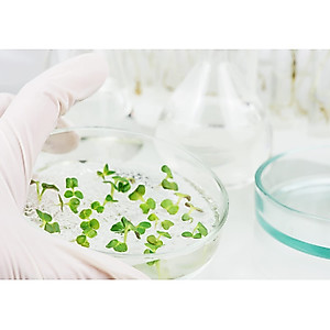 20 Pack Plastic Petri Dishes with Lids, 90 x 15mm Bioresearch Sterile Petri Dish, Culture Dishes for School Science Projects, Seeding, Storage, Biological Themed Party