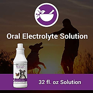 Vet Classics Pet-A-Lyte Oral Electrolyte Solution for Dogs and Cats – Helps Replace Fluids Lost From Pet Dehydration, Diarrhea, Vomiting – Replaces Dog Electrolytes – 32 Oz.