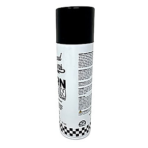 Quick Detailer Spray | Shine and Protectant Spray | Mud Defender Spray | Safe on Plastic, Vinyl, Rubber Shine | "Born Again" Premium Gloss Coating |13 oz Made in the USA (2 Pack)