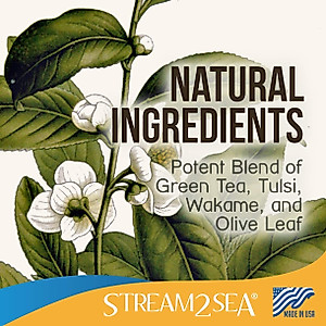 STREAM 2 SEA 3-in-1 Conditioning Shampoo and Body Wash and Leave-In Conditioner Bundle - UV Absorbent Moisturizing Protection for Skin and Body - Reef Safe, Paraben-Free and Biodegradable