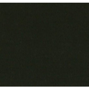 Casual Home Director Chair Replacement Canvas, Black