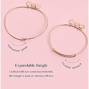 Alex and Ani Birthstones Expandable Bangle for Women, June, Pink Light Amethyst Crystal, Shiny Gold Finish, 2 to 3.5 in
