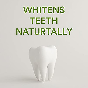 Xyloburst Natural Fluoride-Free Xylitol Premium Toothpaste with Xylitol and CoQ10 Cool Mint - SLS-Free, Paraben Free, Cruelty Free, 4 Ounce Tube Made in The USA (3 Tubes)