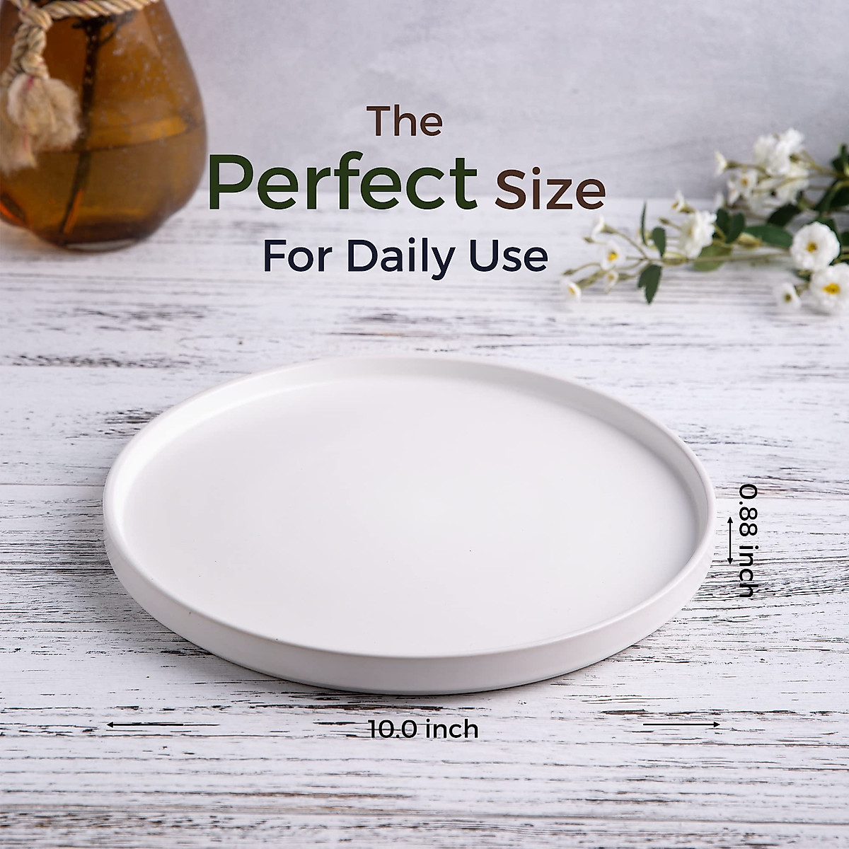 AmorArc Ceramic Dinner Plates Set of 6, 10.0 Inch Matte Stoneware Plates for Kitchen,Modern Flat Dinnerware Dishes Set,Microwave& Dishwasher Safe, Scratch Resistant, Matte white