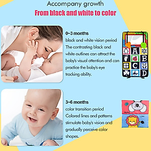 DASIGJID Tummy Time Mirror Baby Toys - High Contrast 3D Activity Montessori Soft Crinkle Foldable Sensory Toy with Infant Silicone Teether for 0-3 Years Babies Boys Girls