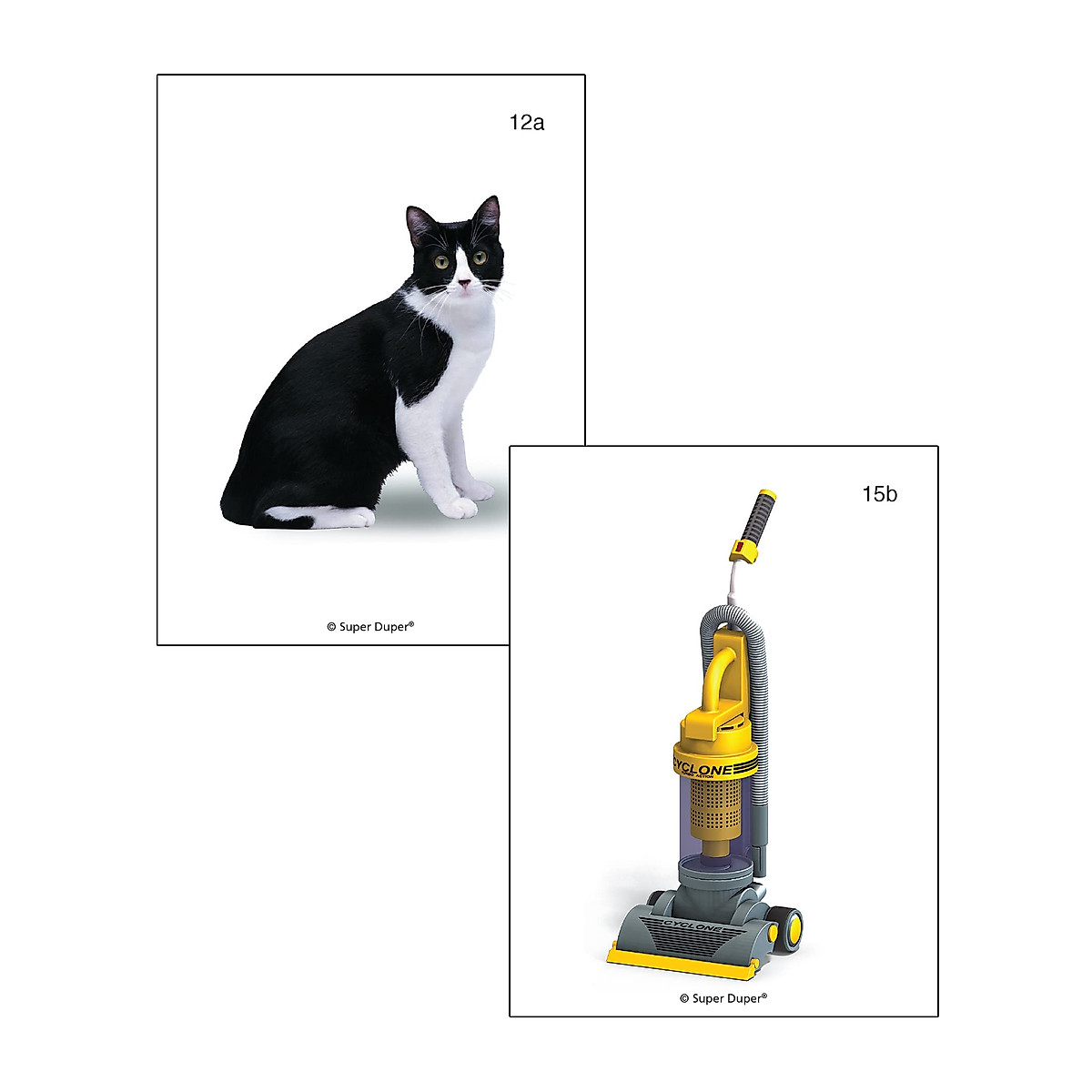 Super Duper Publications | Webber® Around The Home Photo Flash Card Deck | Educational Learning Resource for Children