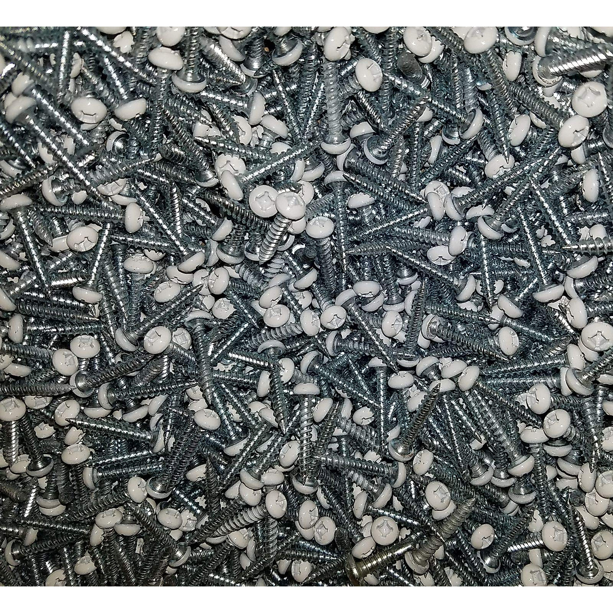 100 Pack PAN White Head Screw # 8 X 1" Quad Drive Thread Screws Cargo rv | Powder Coated White