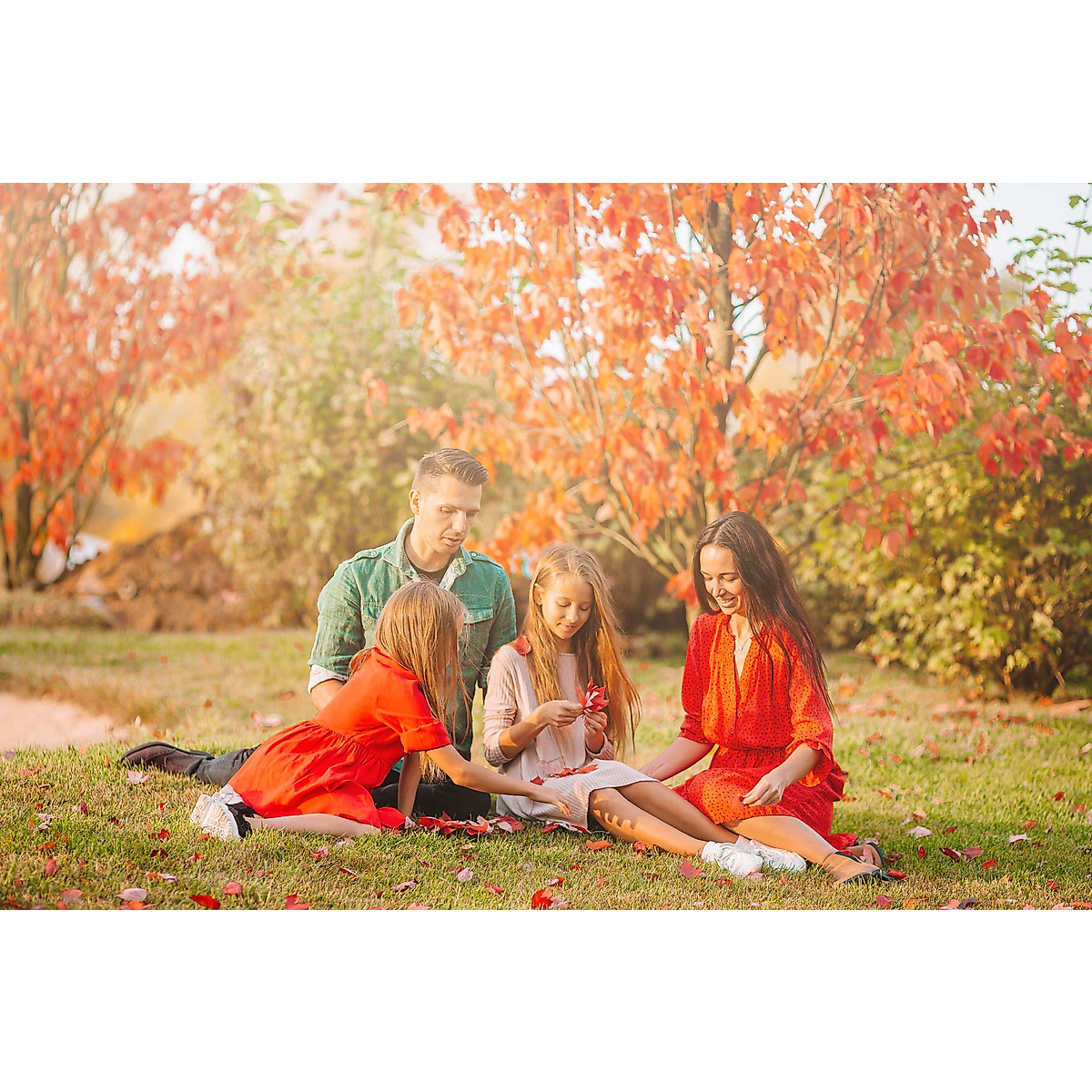 Natural Probiotic Selection Yogurt Starter Cultures - Pack of 3 Freeze-Dried Sachets for Lactobacillus Rhamnosus and L.Gasseri Yogurt (3 sachets Pack)