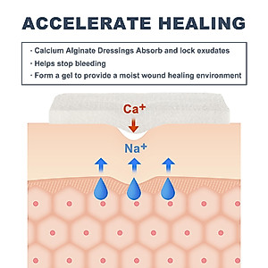LotFancy Calcium Alginate Wound Dressing Pads, 4"x 4" Patches, 10 Pack, Non-Stick Padding, Highly Absorbent Dressing, Soft Comfortable Medical Wound Dressing for Skin Healing Support