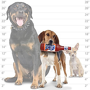 Silly Squeakers – Beer Bottles - Dog Toy - 100% Vinyl. Made Durable & Strong. Novelty Play Toy. 14 Bottles to Choose from and it Floats (Blue Cats Trippin)