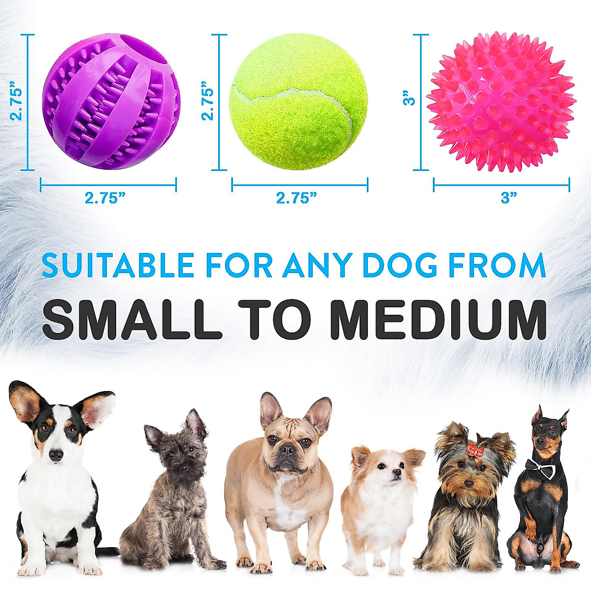 Pacific Pups Products Balls for Dogs - 6 Balls Dog Ball Pack - Small Dog Balls & Dog Balls for Medium Dogs - Dog Tennis Balls, Squeaky Balls for Dogs & Dog Treat Toys