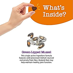 New Zealand Green Lipped Mussel Bites for Dogs - 500 mg Dog Hip & Joint Support Supplement Soft, 90 Count, Assorted