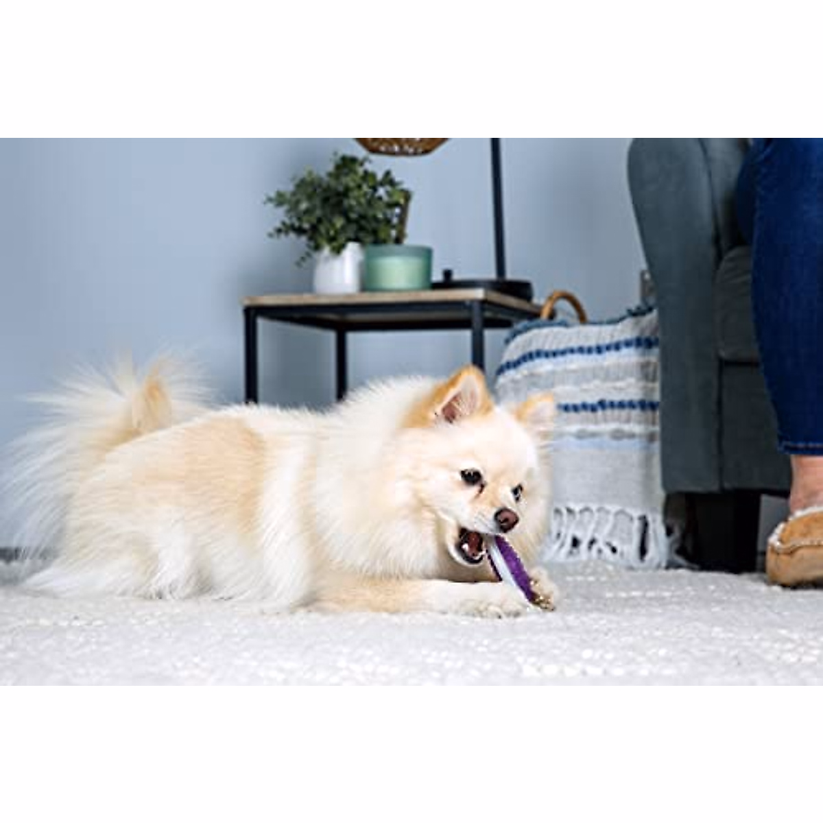 Hartz Chew 'n Clean Tuff Bone Bacon Scented Dental Dog Chew Toy - Extra Small