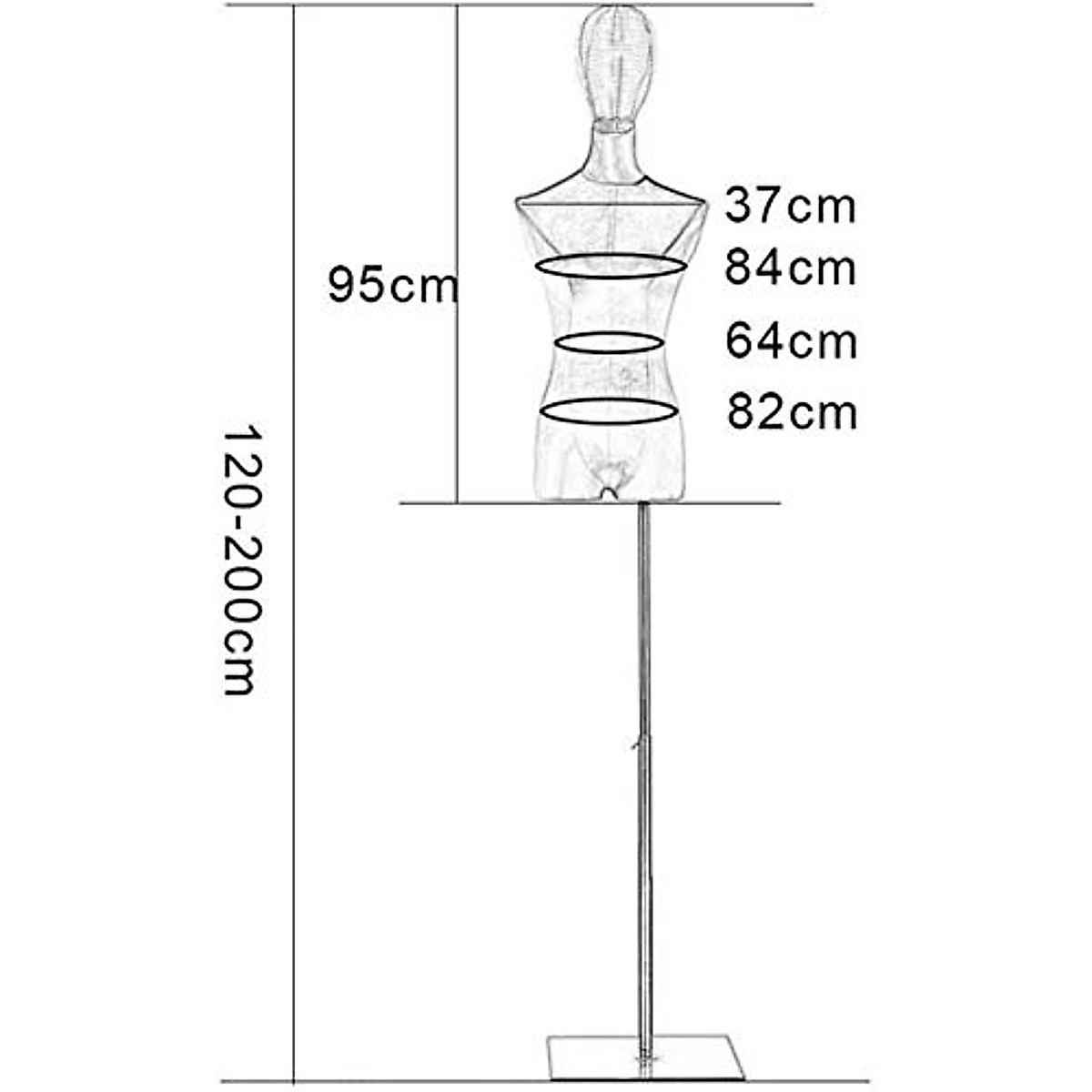 Mannequin Display Stand Female Mannequins Model Clothing Display Stand Mannequin Body Dummy Model ( Color : B ) (A )